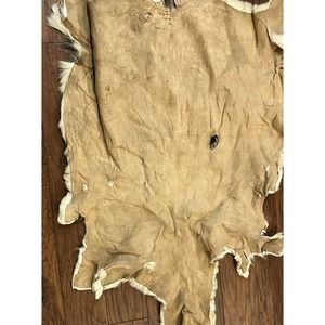 Unbranded | Other | Taxidermy Tanned Large Fallow Deer Skin Rustic ...